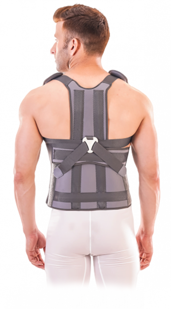 TAYLOR BRACE LS-0408 - Cotton Home & Medical Store